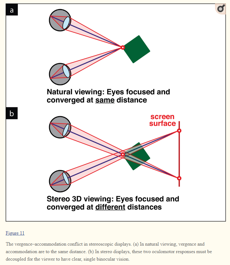 Stereoscopy And The Human Visual System Golden Gate Stereoscopic Society Stereoscopy And The Human Visual System Golden Gate Stereoscopic Society